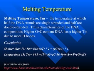 Primer design task | PPT