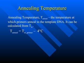 Primer design task | PPT