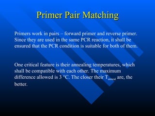 Primer design task | PPT