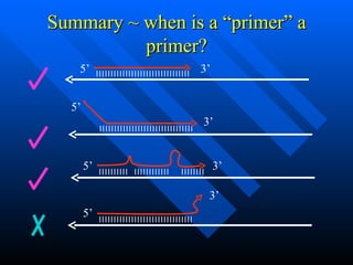 Primer design task | PPT