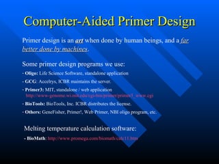 Primer design task | PPT