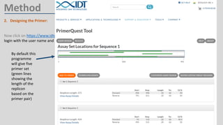 Primer desining | PPTX