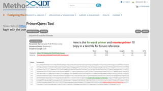 Primer desining | PPTX