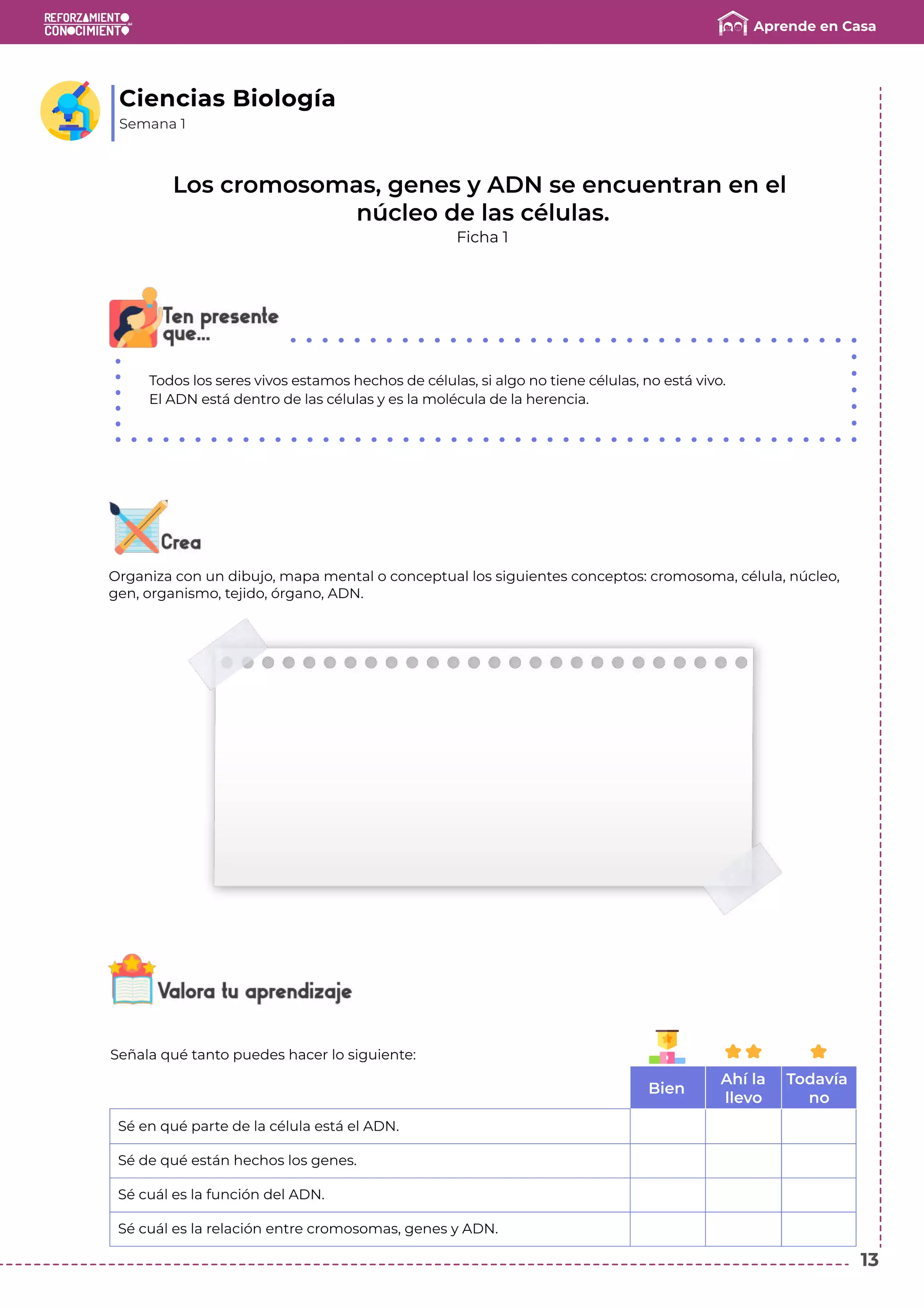 CURSO DE REFORZAMIENTO DEL CONOCIMIENTO. PRIMER GRADO SEMANA 1 | PDF