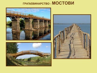 Primeri primene drveta | PPT