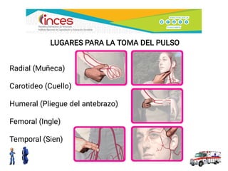 PRIMEROS AUX. SIGNOS VITALES.pdf