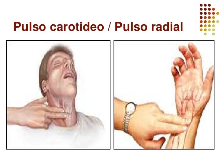 2) CONOCIMIENTOS DEL PARAMÉDICO