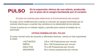 PRIMEROS AUXILIOS.pdf