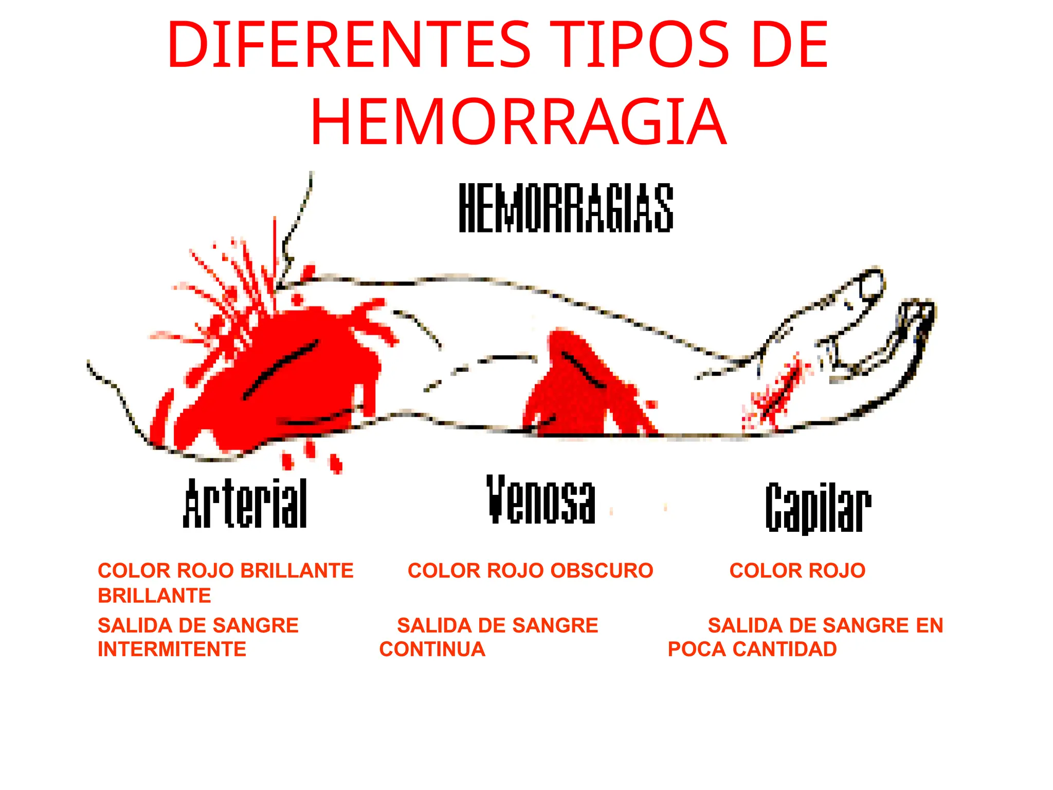 PRIMEROS AUXILIOS, capacitacion de primeros respondientes. | PPTX