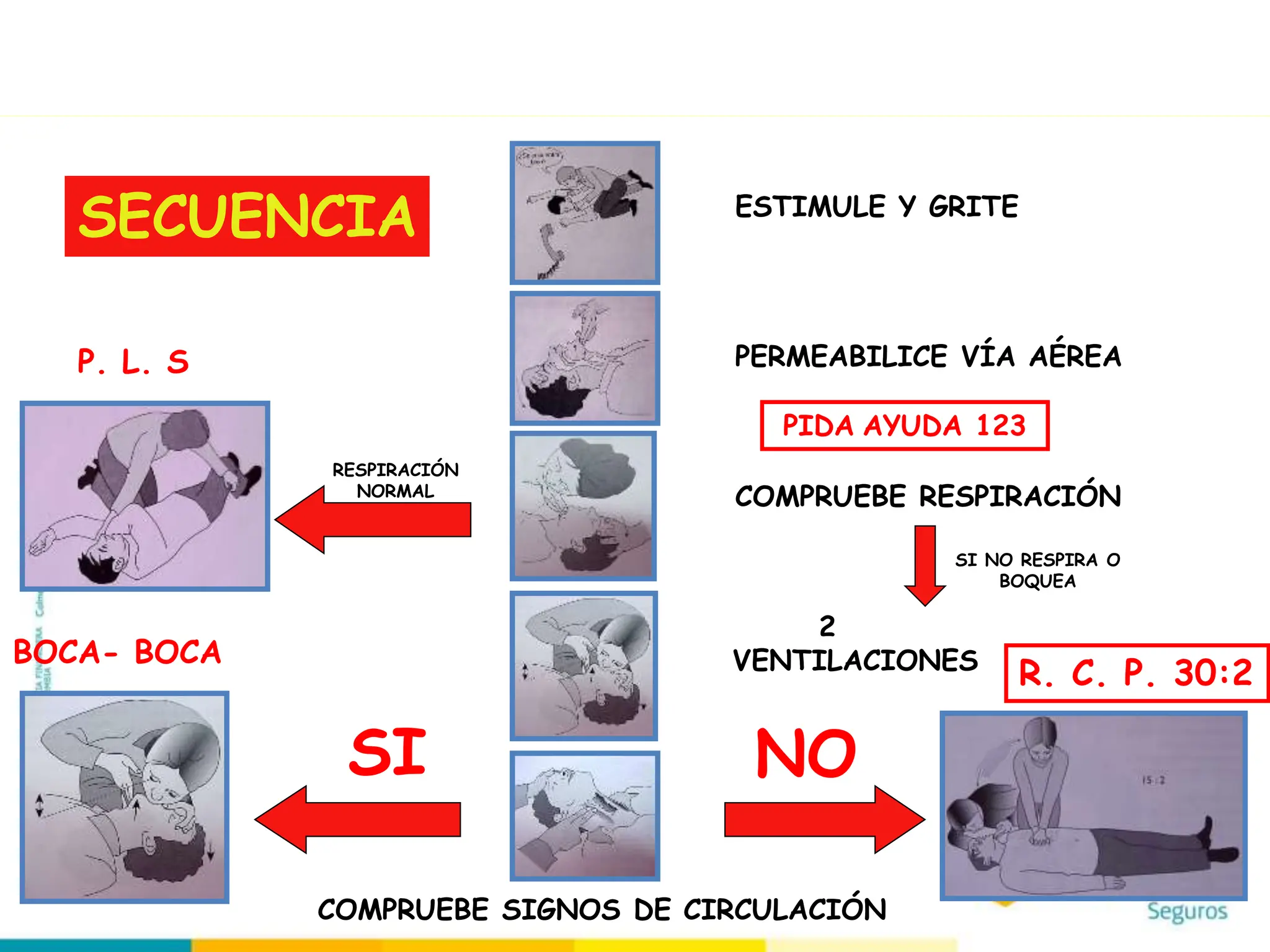 Primeros Auxilios, soporte basico inicial | PPT