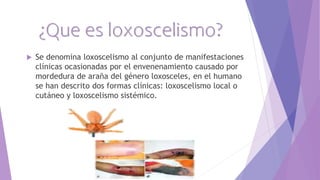 LOXOSCELISMO (PRIMEROS AUXILIOS) 511 PPTX | PPTX