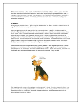 Primeros auxilios con perros y gatos | PDF