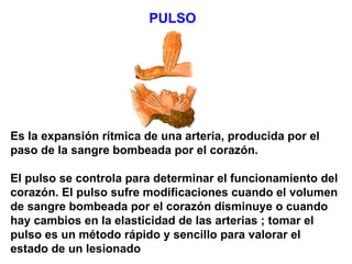 Primeros auxilios (copia) | PPT
