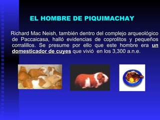 Primeros Pobladores Andinos | PPT