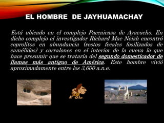 primeros pobladores andinos en el peru.pptx