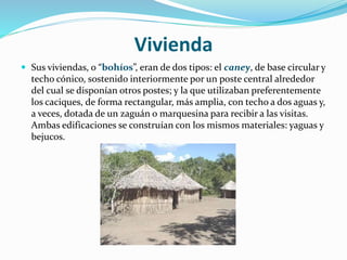 Primeros pobladores de la isla de santo domingo | PPTX