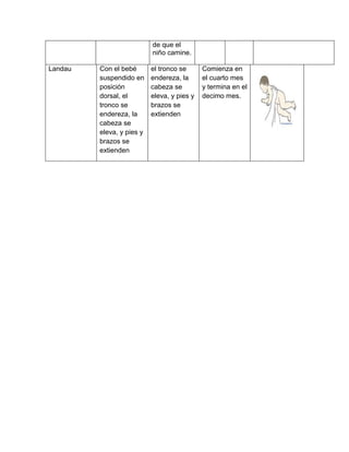 Primeros+reflejos+humanos | PDF