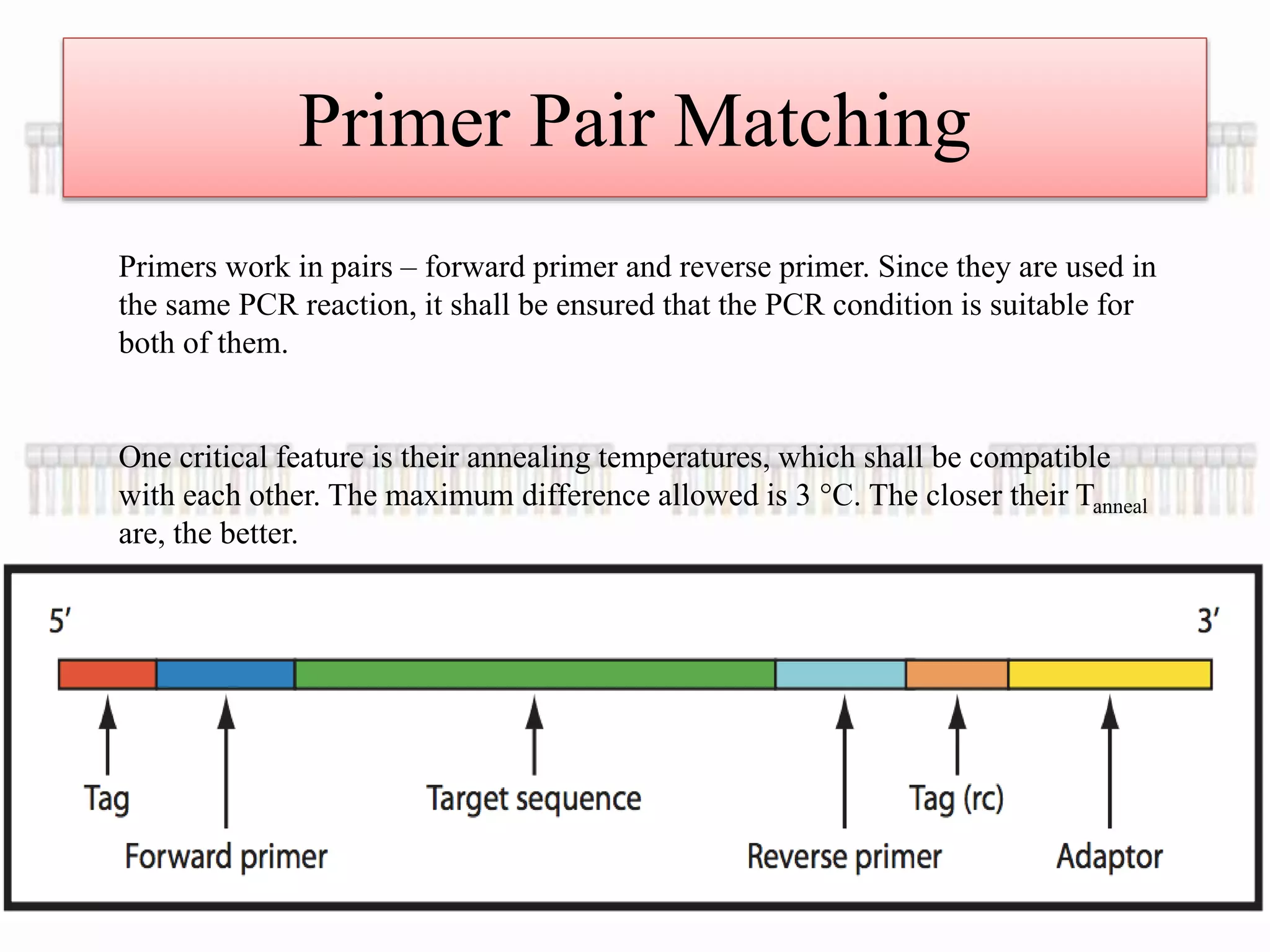 Primers | PPTX