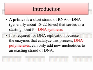 Dna Primers
