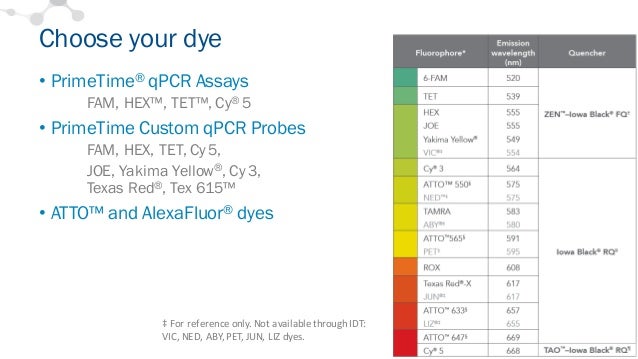 PrimeTime® qPCR products for gene expression