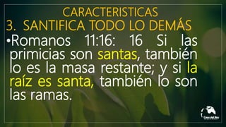 PRIMICIAS.pptx