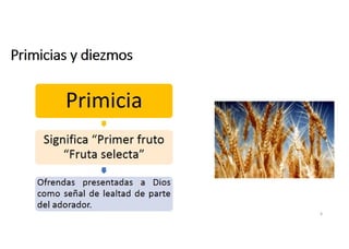 Primicias y diezmos | PDF