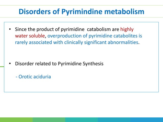 primidine metabolism.pptx