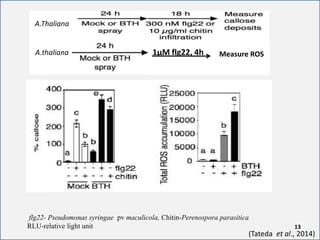 Priming for enhanced defence during Plant-Pathogen Intraction | PPTX