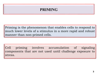 Priming for enhanced defence during Plant-Pathogen Intraction | PPTX ...