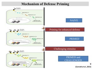 Priming for enhanced defence during Plant-Pathogen Intraction | PPTX ...