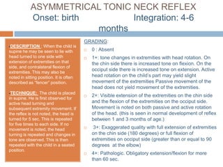 Primitive And Tonic Reflexes | PPTX