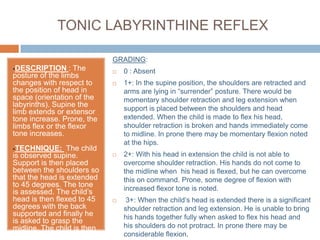 Tonic Labyrinthine Reflex