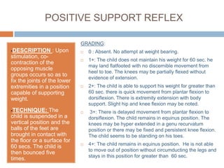 Positive Support Reflex