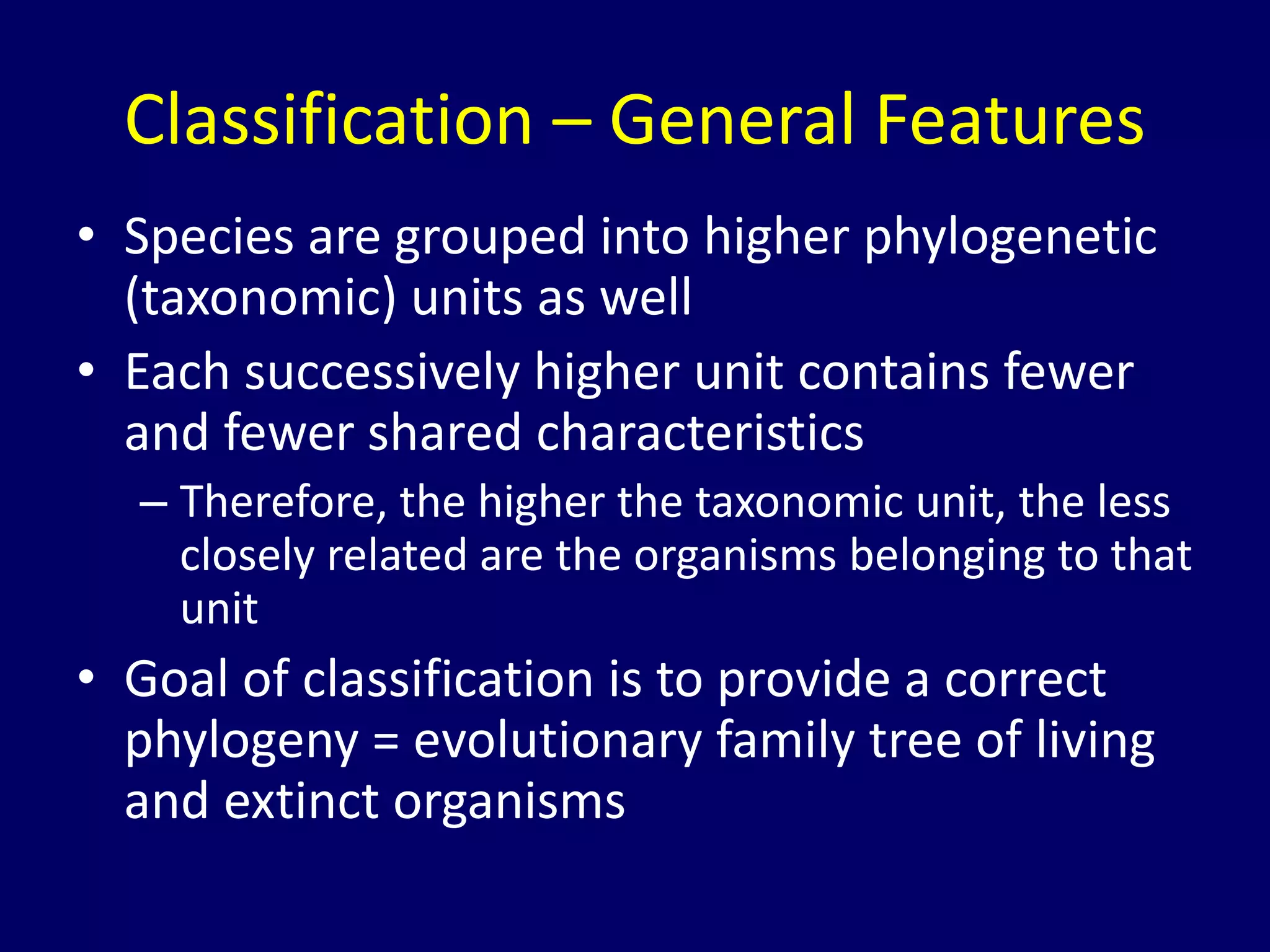 origin of vertebrates | PPTX