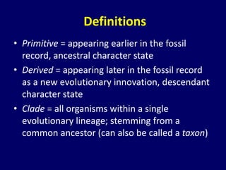 origin of vertebrates | PPTX