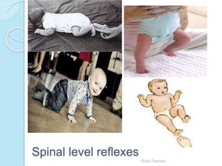 Primitive reflexes | PPTX