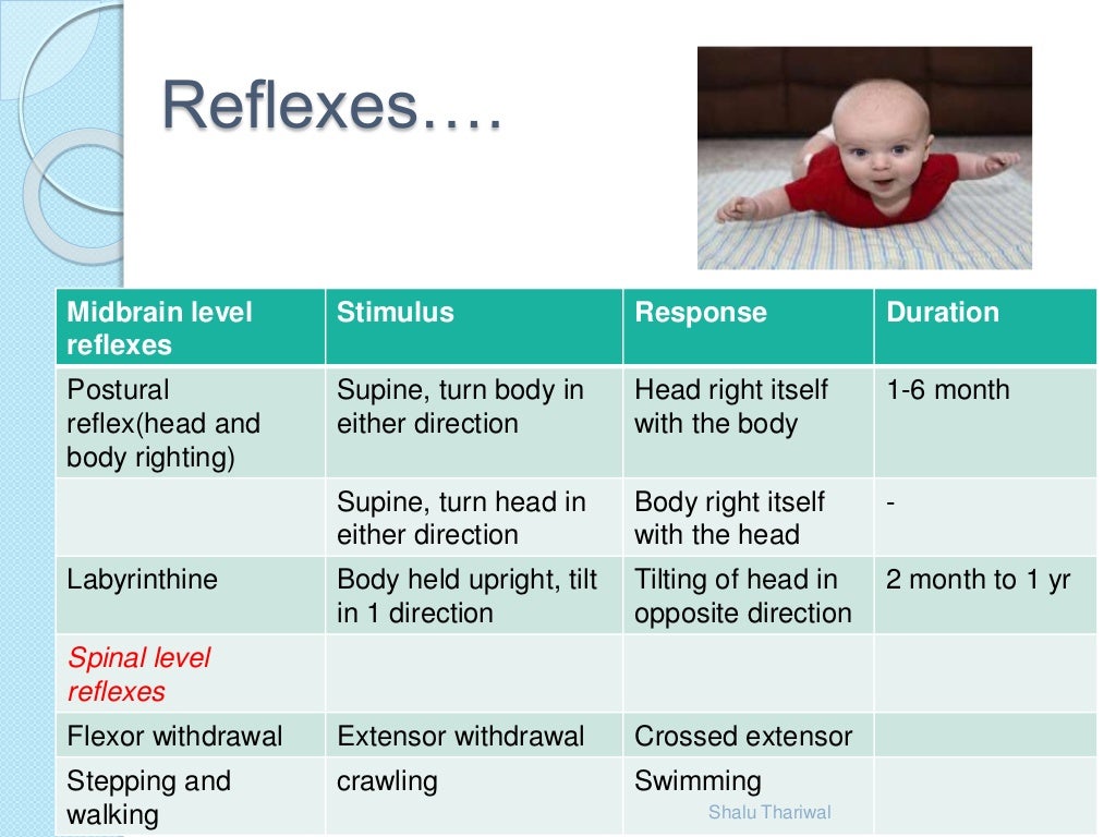 Primitive reflexes