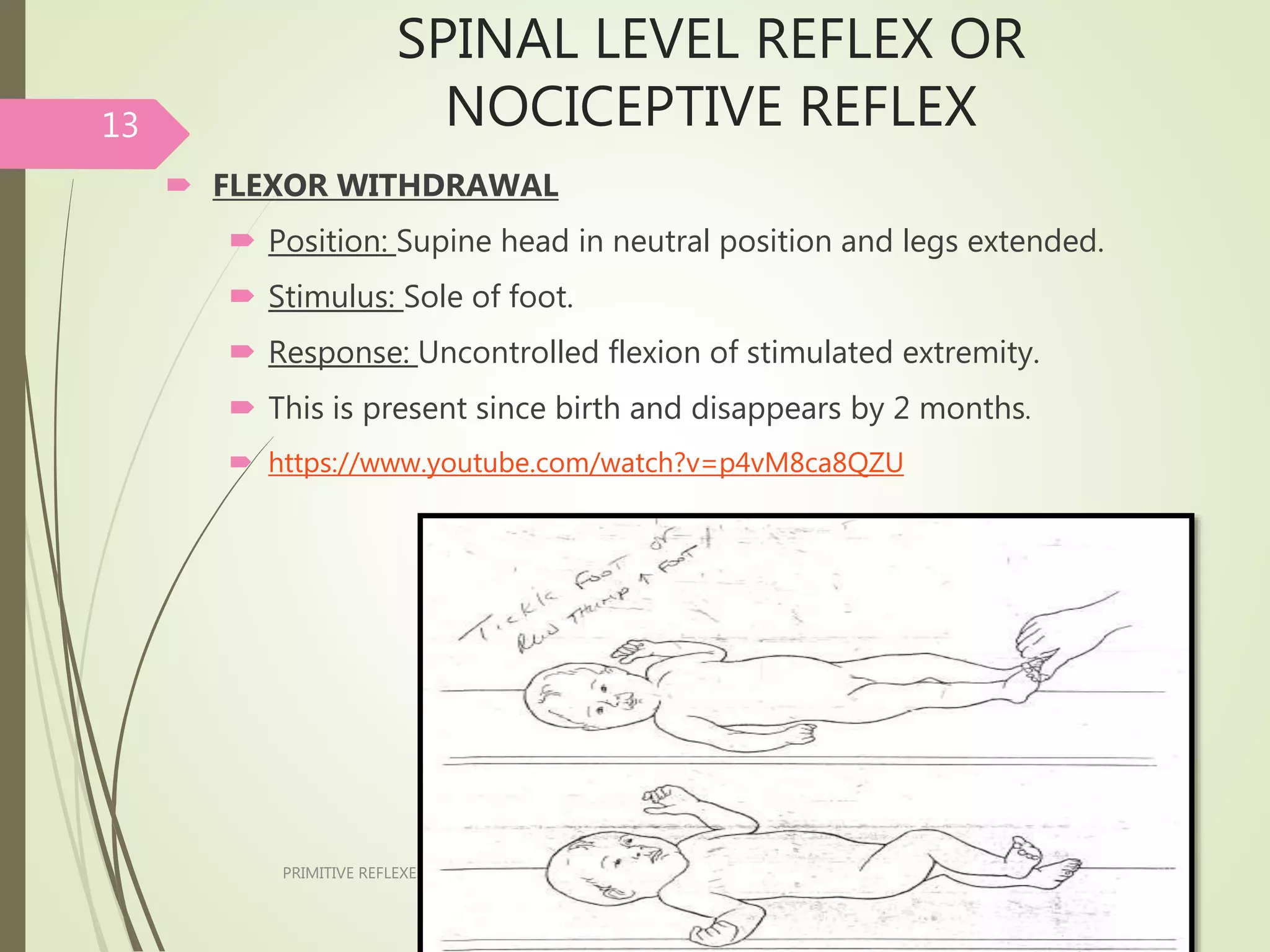Primitive reflexes | PPTX