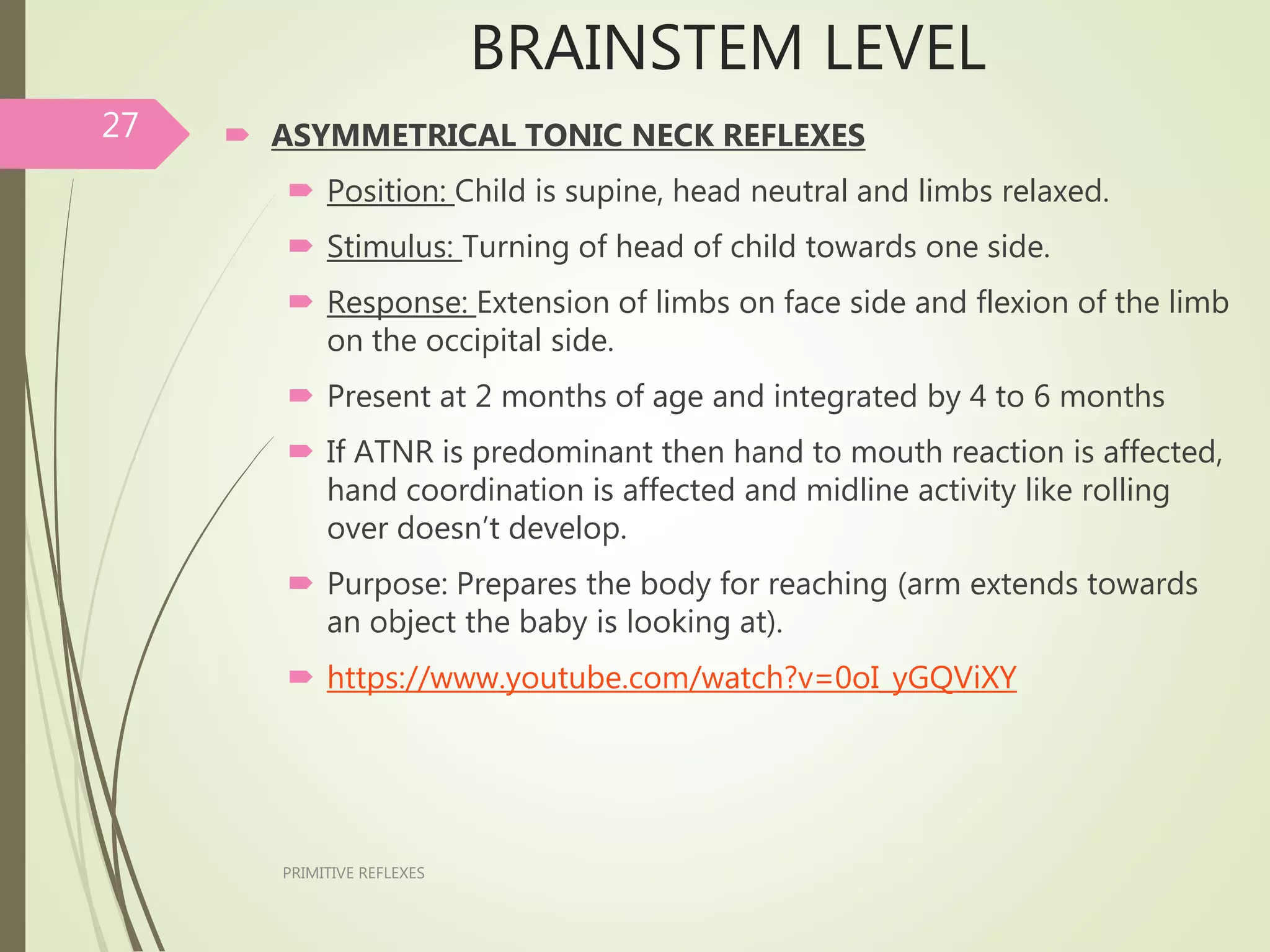 Primitive reflexes | PPTX