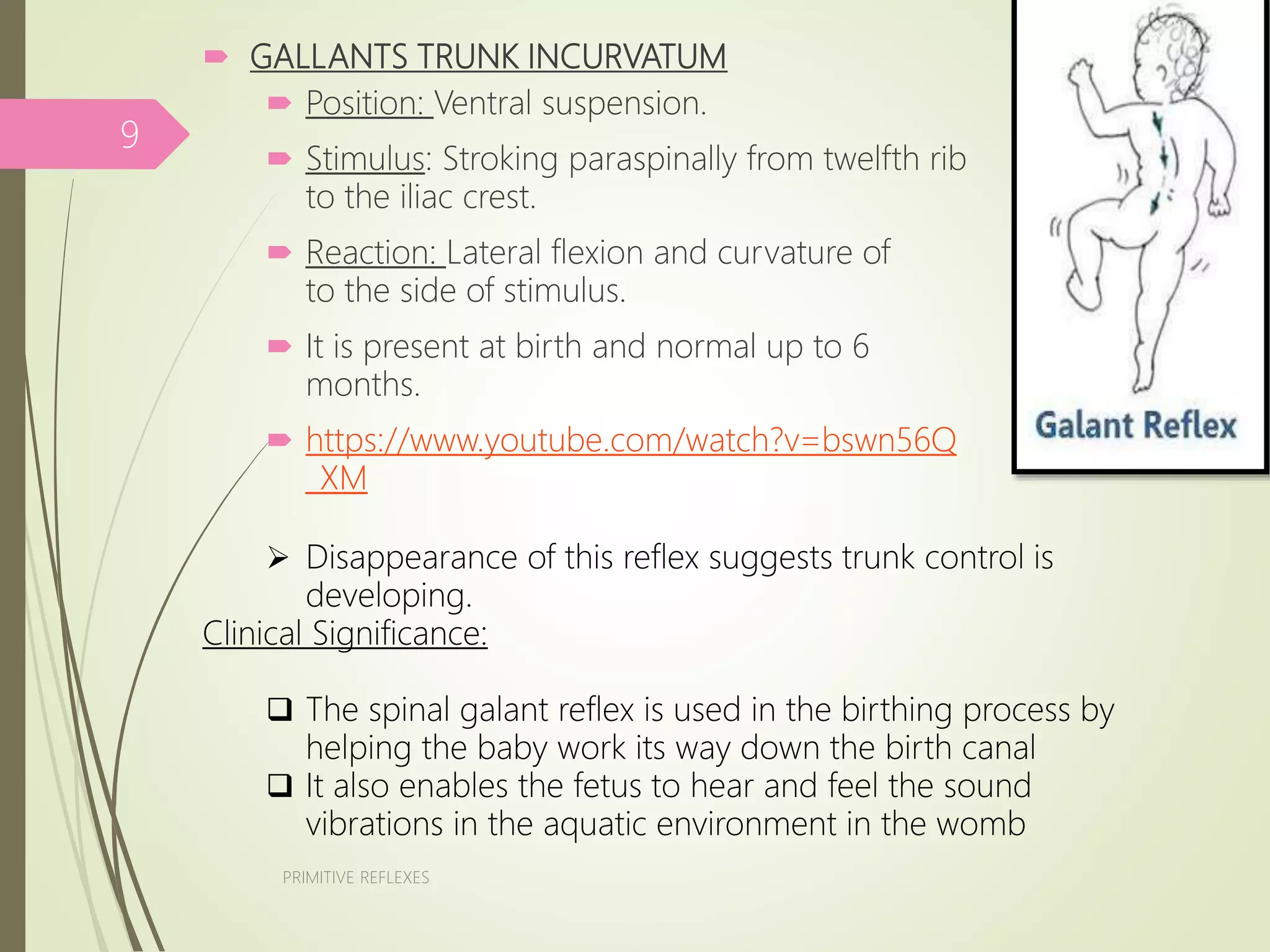 Primitive reflexes | PPTX