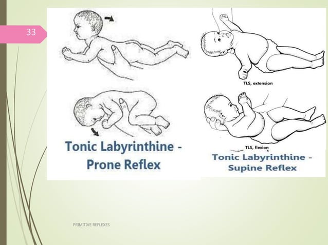 Primitive reflexes | PPTX