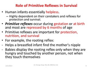 Primitive Reflexes.pdf