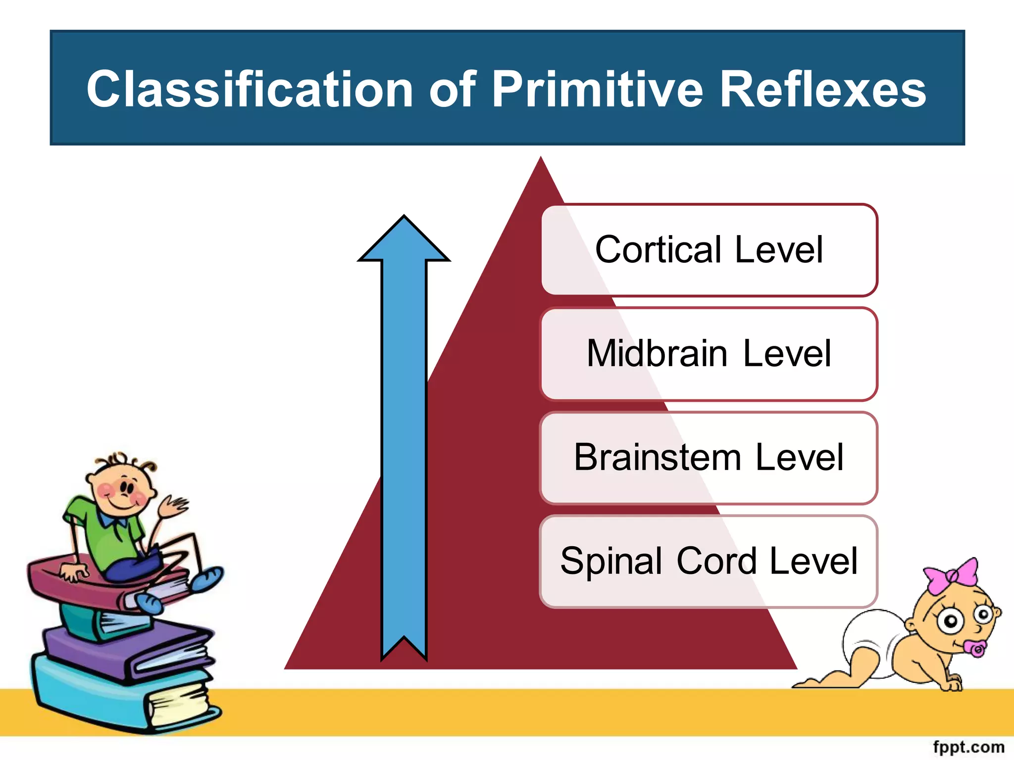 Primitive Reflexes.pdf