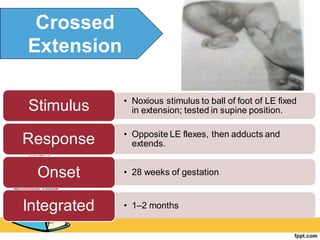 Primitive Reflexes.pdf