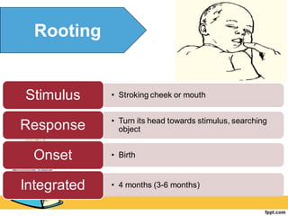 Primitive Reflexes.pdf
