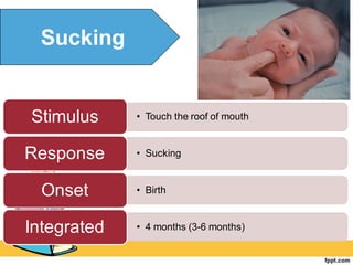 Primitive Reflexes.pdf