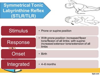 Primitive Reflexes.pdf