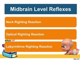 Primitive Reflexes.pdf