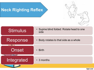 Primitive Reflexes.pdf