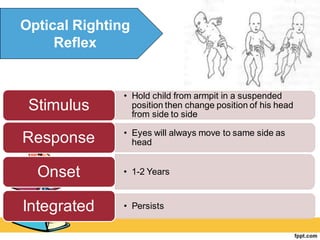 Primitive Reflexes.pdf